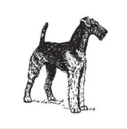 SALE - Men & Women's Clothing | Up To 70% Off | The Standard Store ...